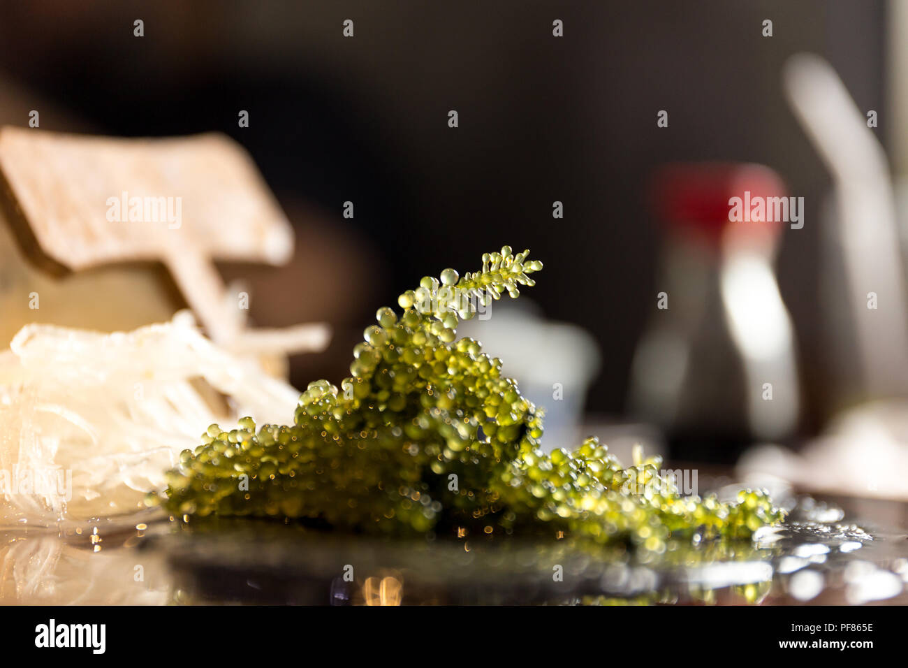 Umi-budou Seaweed or Green Caviar Healthy sea food or sea grapes ...