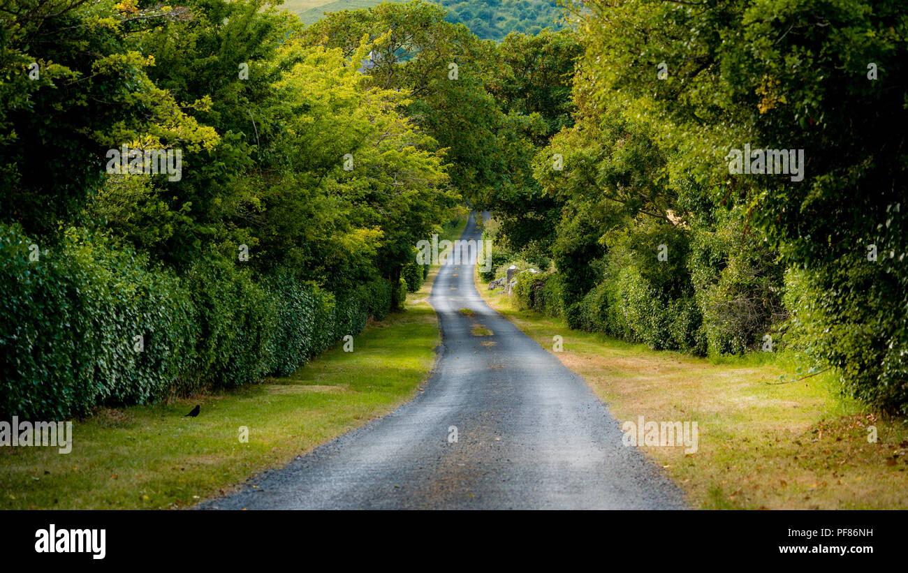 Long country road hi-res stock photography and images - Alamy