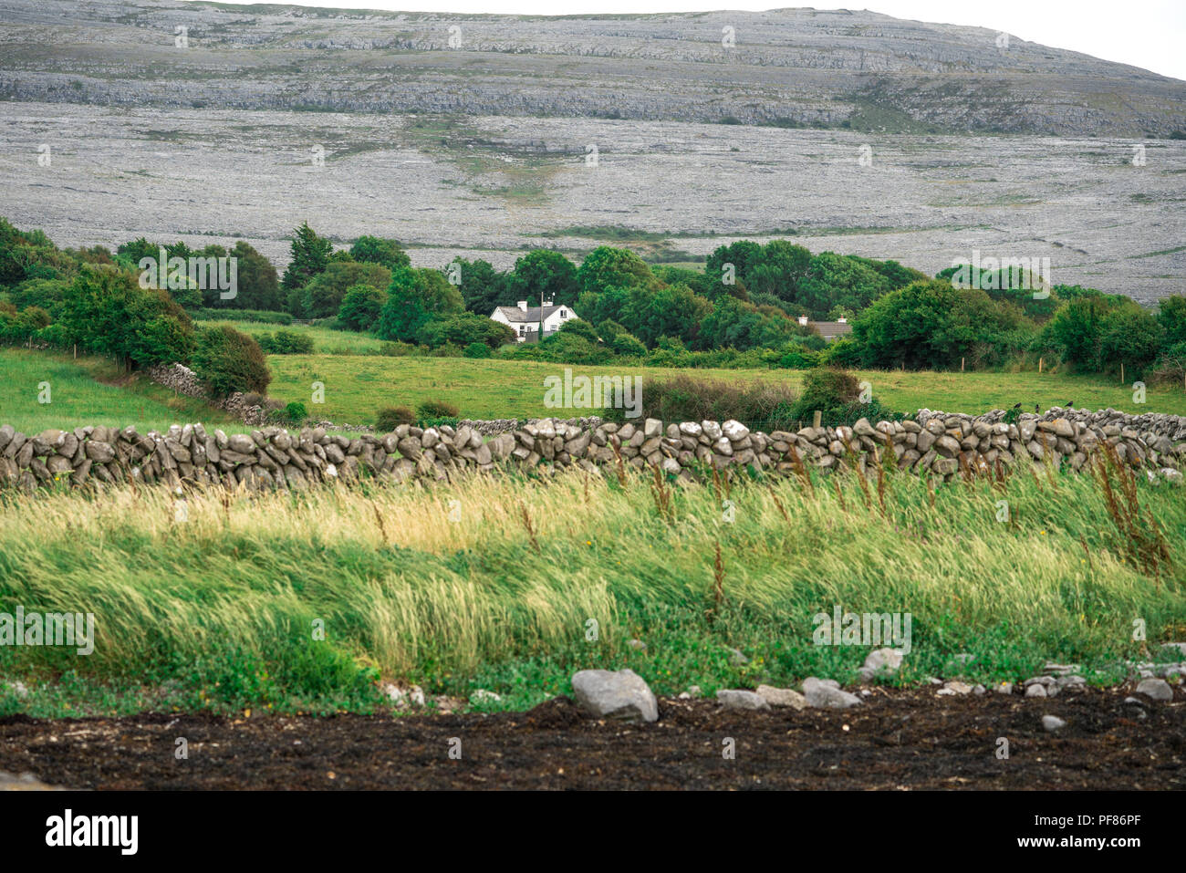 Old rural farm ireland hi-res stock photography and images - Alamy