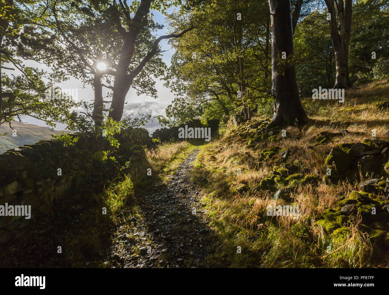 Dales way long distance footpath in The Lake District Stock Photo - Alamy