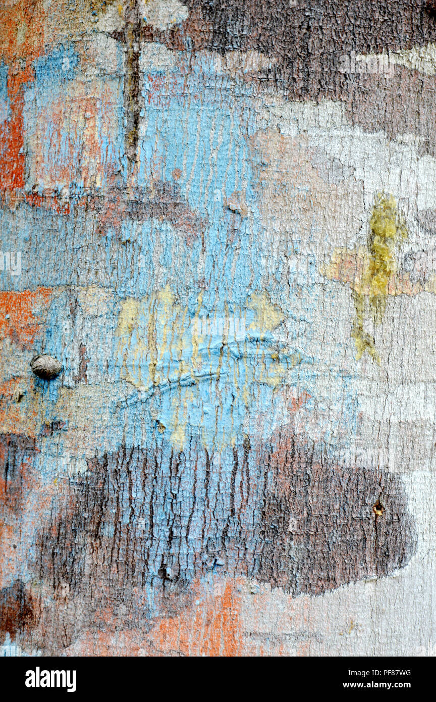 detailed tree trunk texture background Stock Photo - Alamy