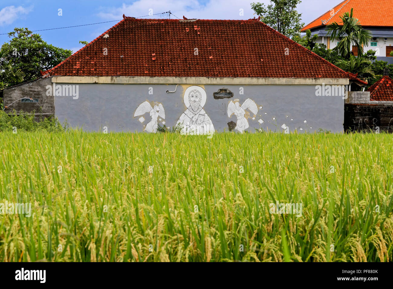 Rice fields in Canggu, Bali Stock Photo - Alamy