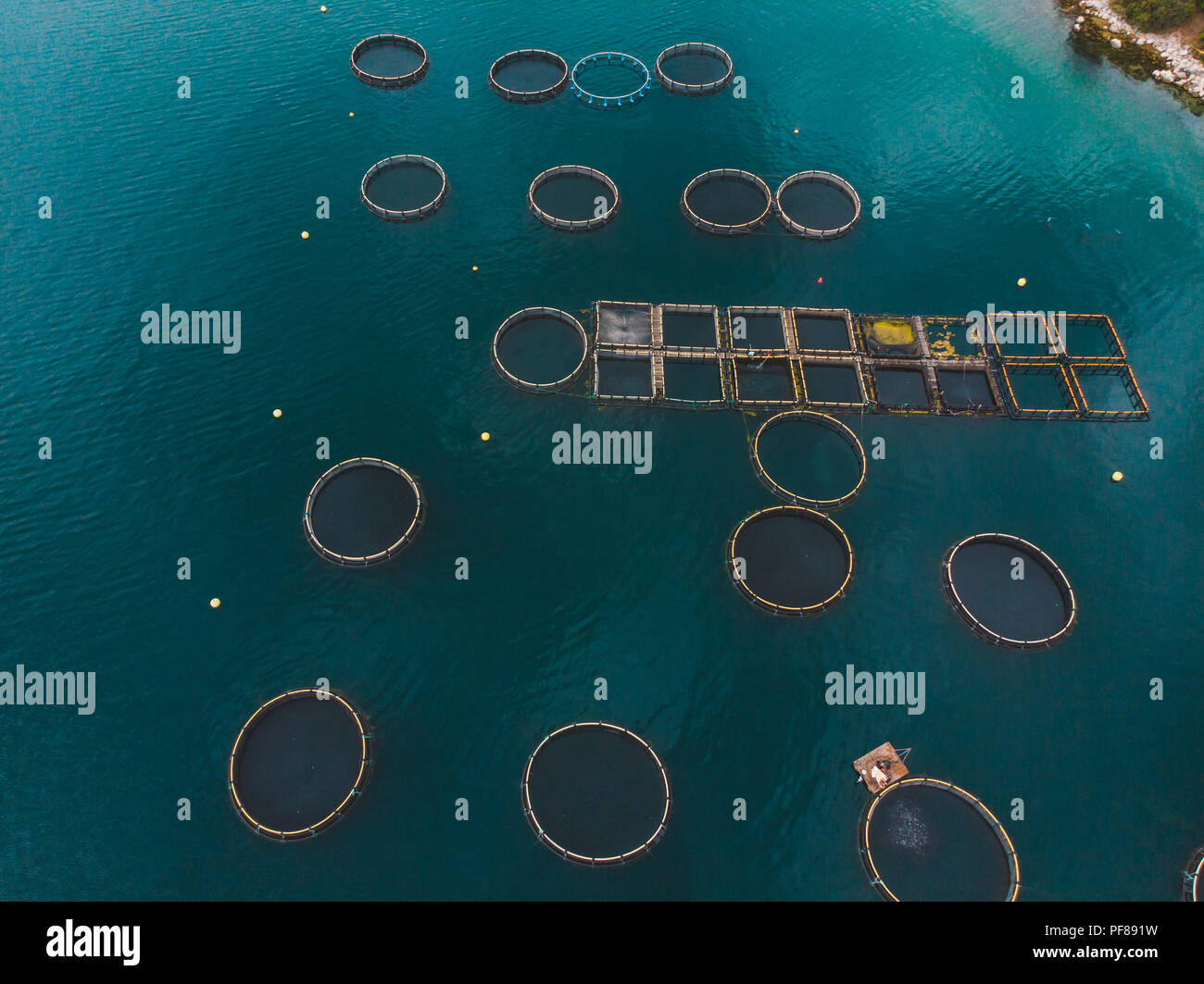 aerial view of fish farm in sea water. summer time. sea food Stock ...