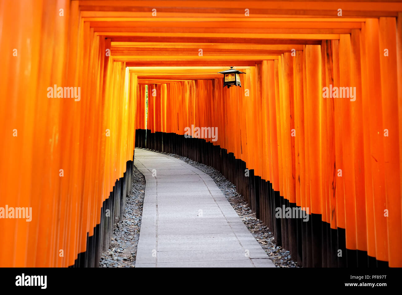 The world cultural heritage, red gate way, torii corridor in Fushimi ...