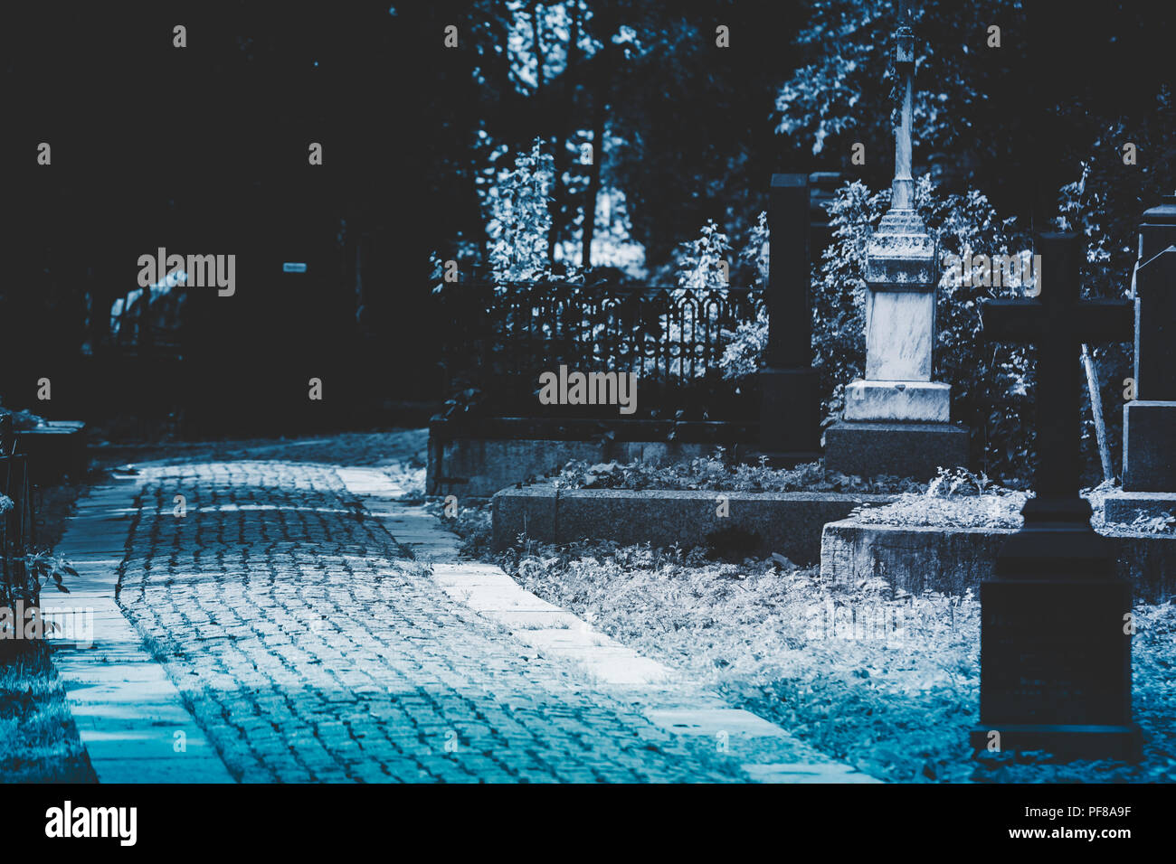 Graveyard spooky hi-res stock photography and images - Alamy