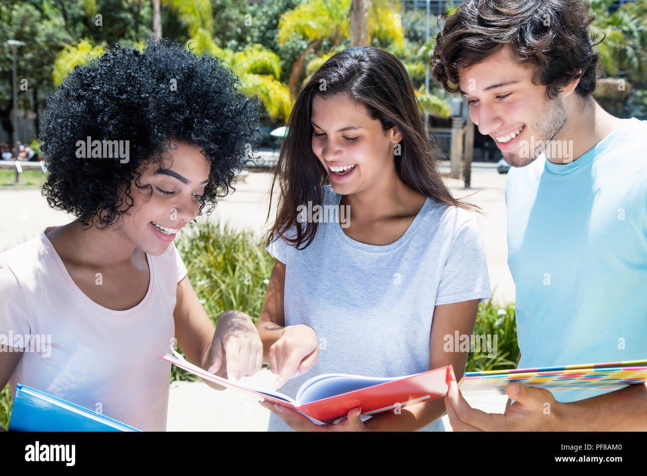 Multiethnic multi ethnic group discussion hi-res stock photography and ...