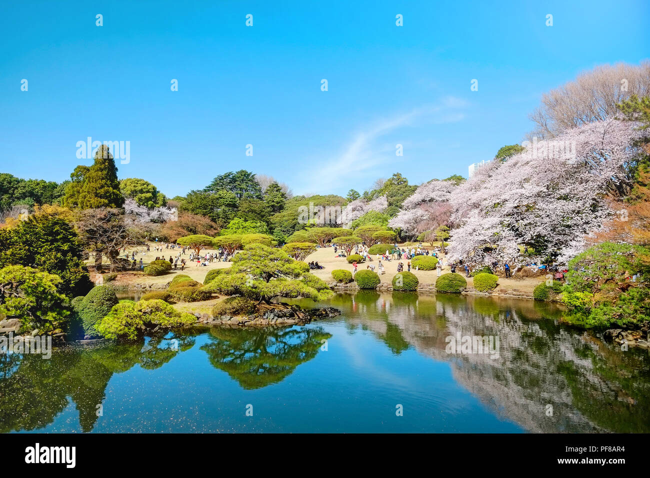 Red willow trees hi-res stock photography and images - Alamy