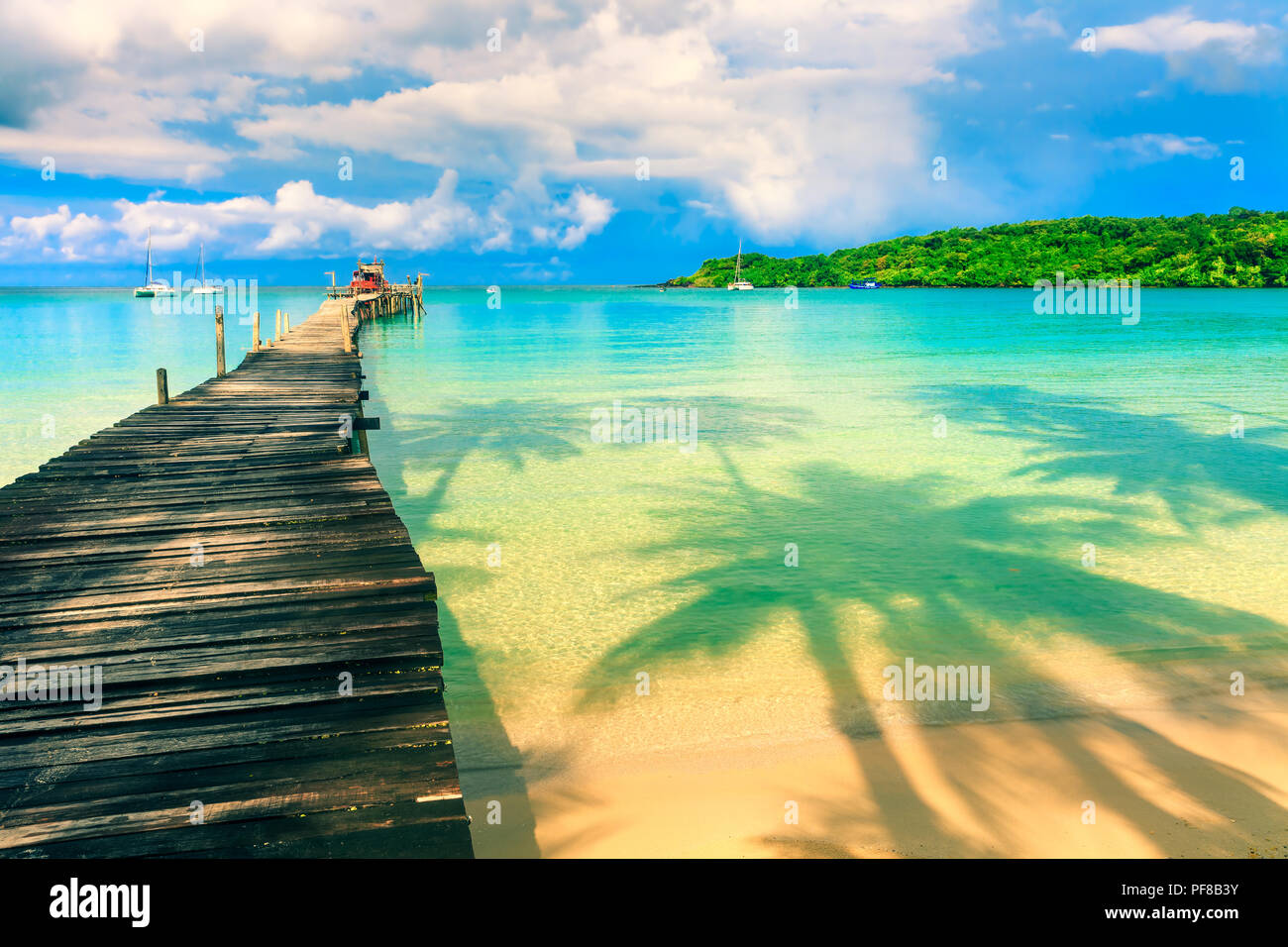 Landscape tropical beach with crystal clean sea and palm tree Stock ...