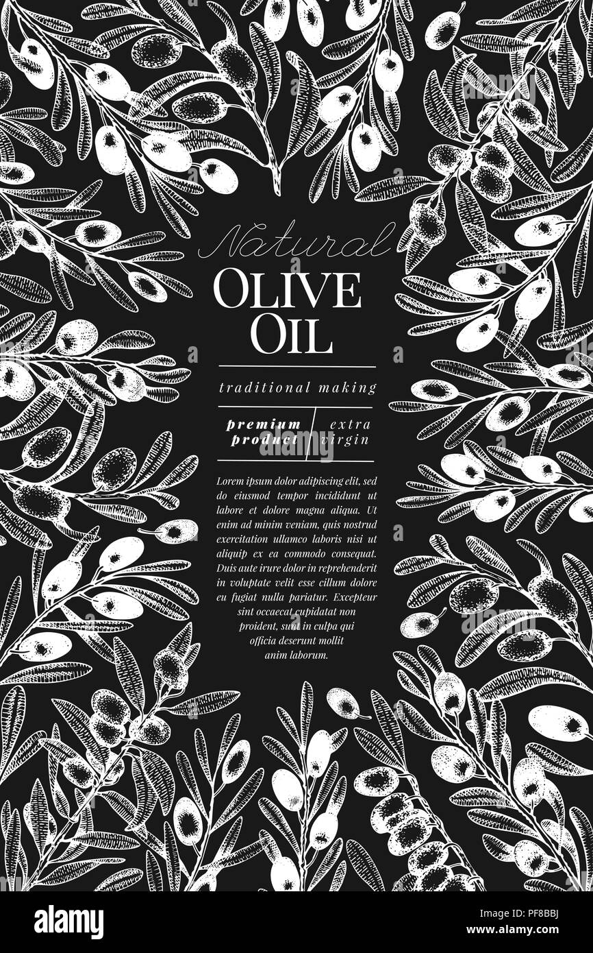 Olive tree banner template. Vector retro illustration on chalk board ...
