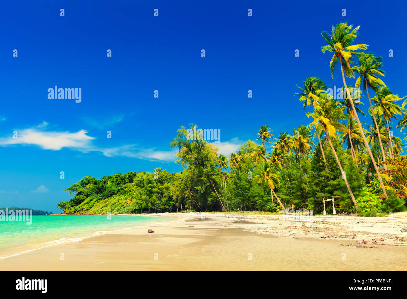 Landscape tropical beach with crystal clean sea and palm tree Stock ...
