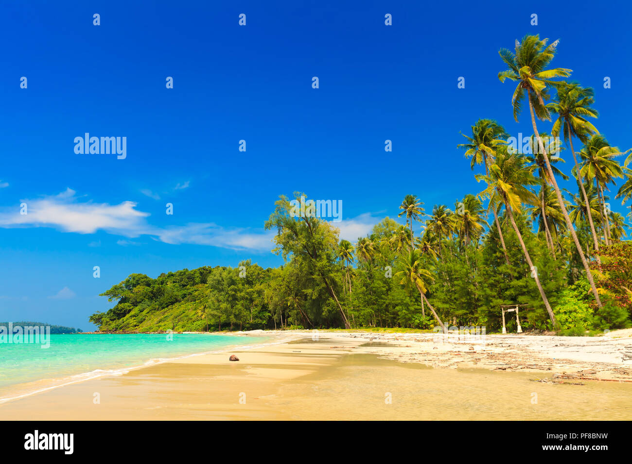 Landscape tropical beach with crystal clean sea and palm tree Stock ...