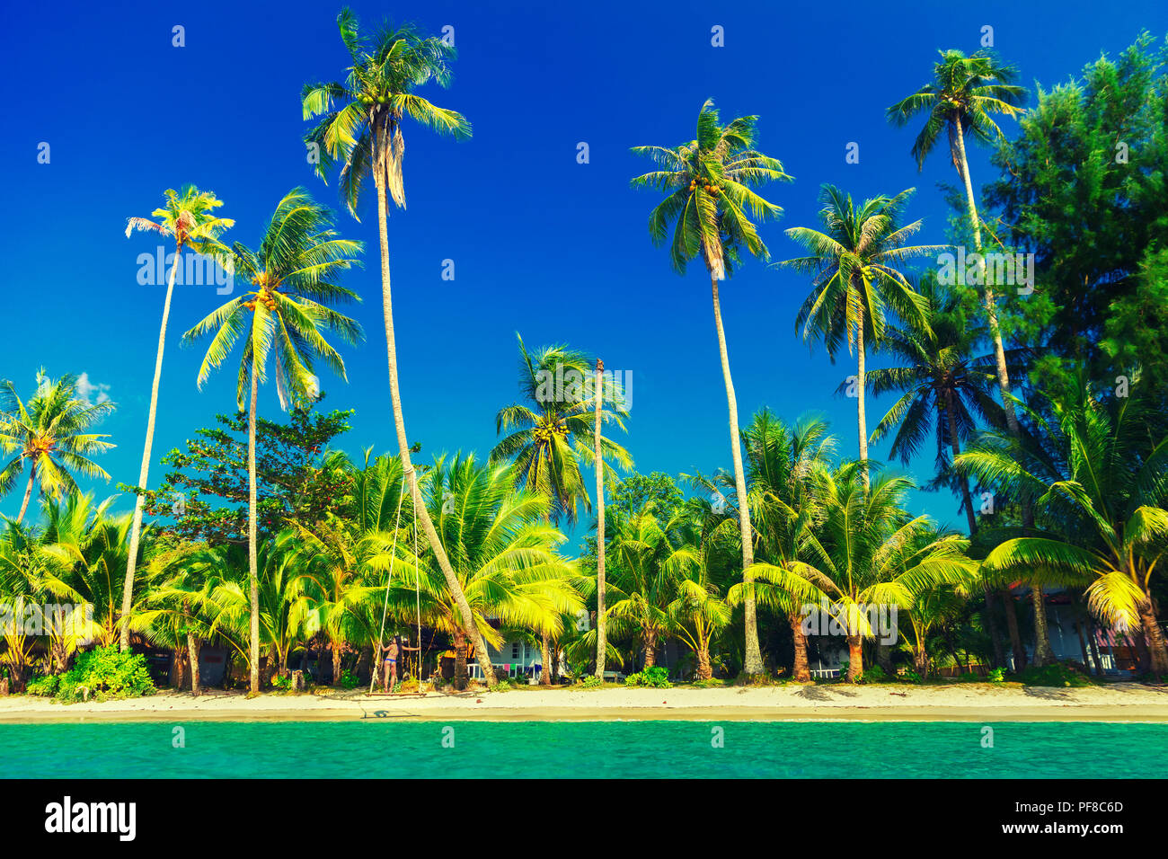 Landscape tropical beach with crystal clean sea and palm tree Stock ...