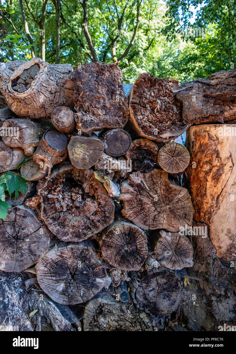 Berlin, Mitte.Niemandsland Garten, No Mans Land Garden. Wall of old ...