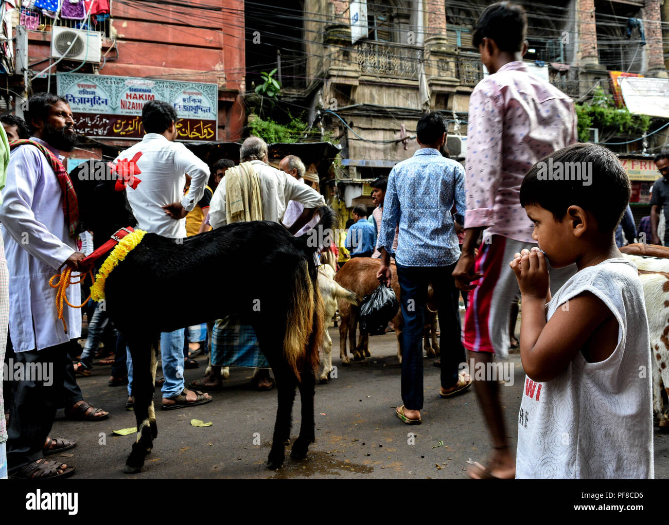 Kolkata, India. 19th Aug, 2018. A boy watches on as the market goes on ...