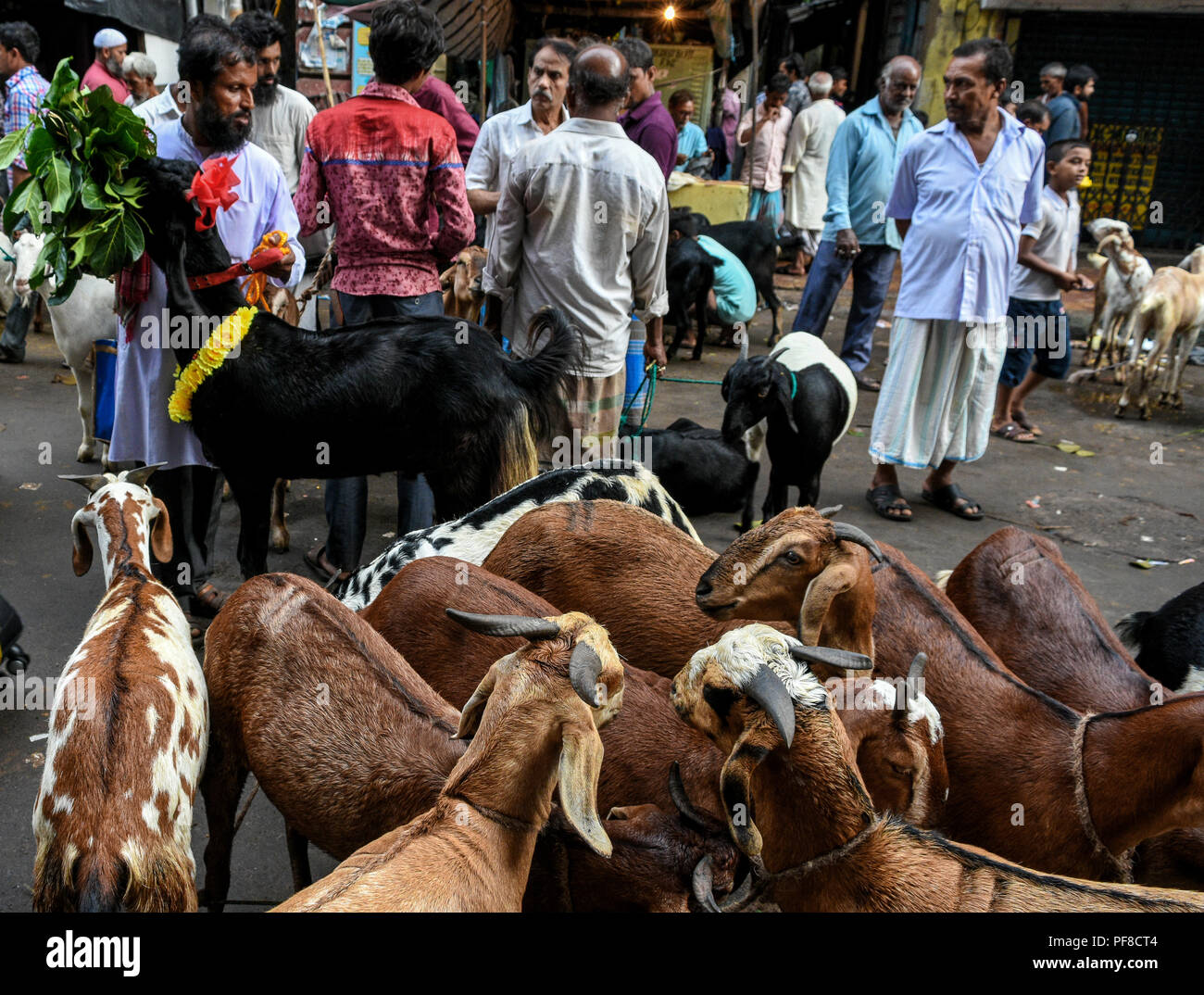 Kolkata, India. 19th Aug, 2018. Sellers in eid market. Bakr eid or Eid ...