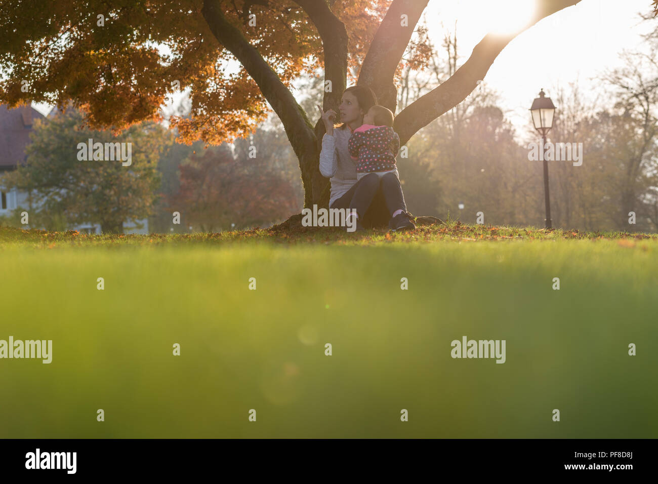 Young mother sitting under a tree with colorful autumn foliage with her ...