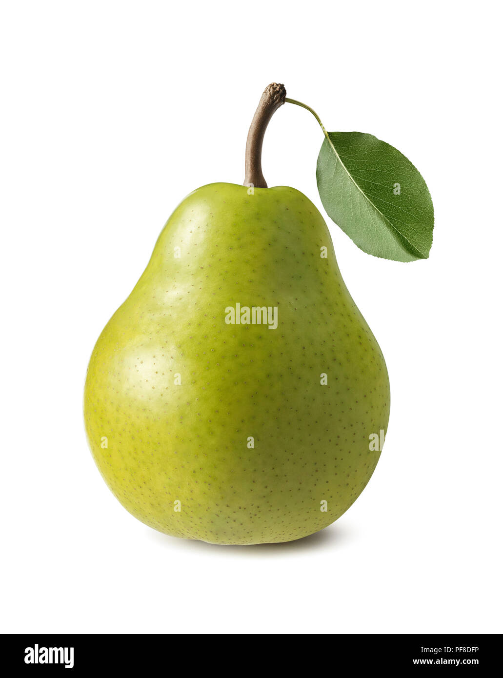 Single green anjou pear isolated on white background as package design ...