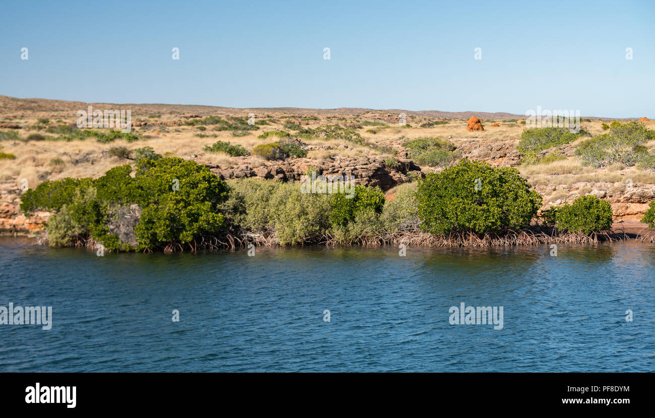 Where the river reaches the ocean. Yardie Creek Gorge's end, Cape Range ...