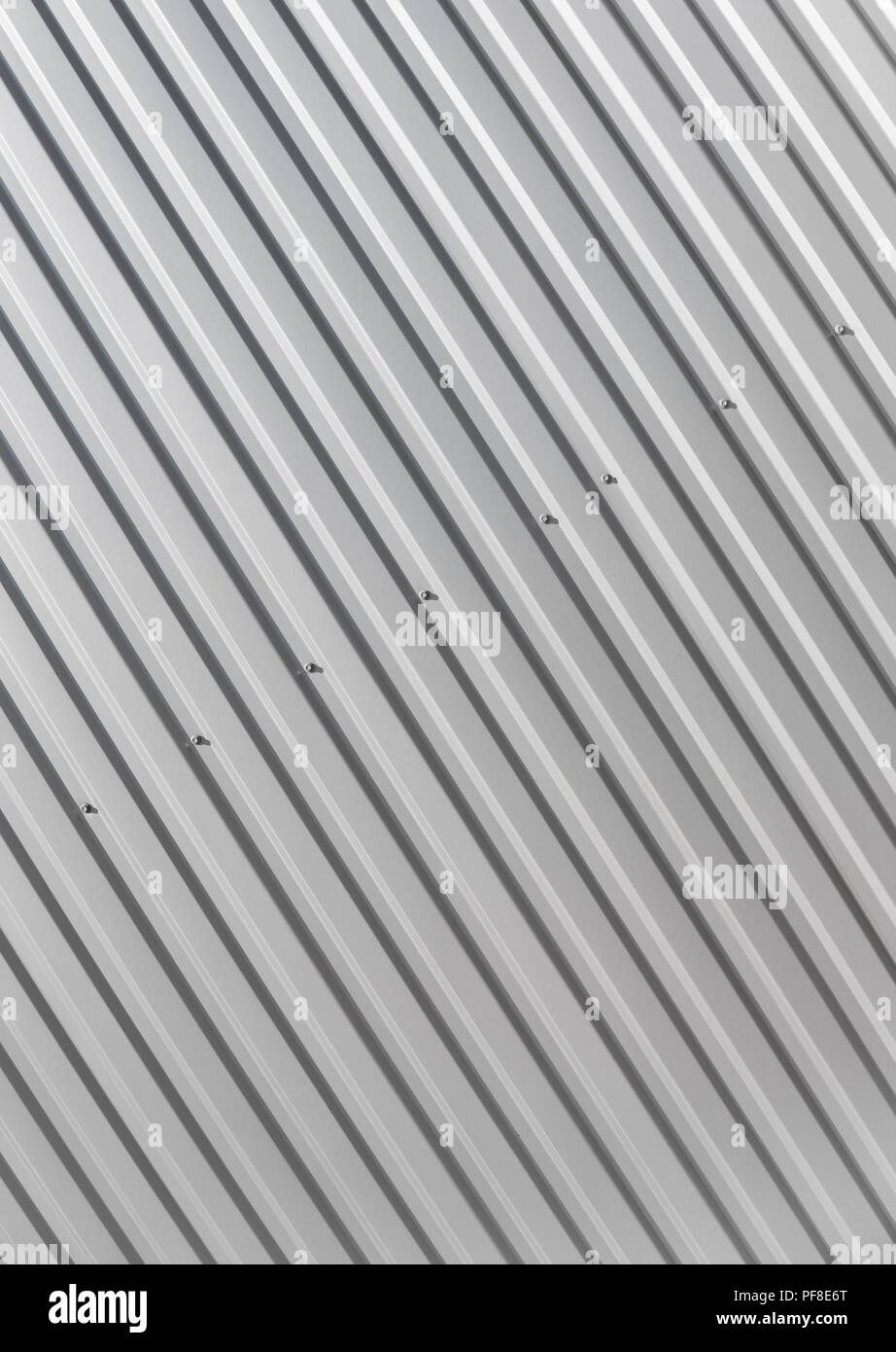 Metal white sheet for industrial building and construction. Roof sheet ...
