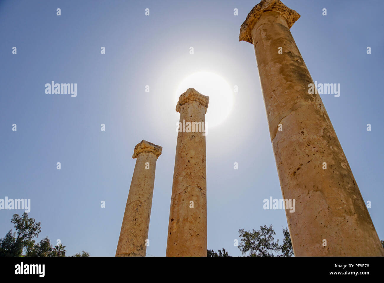 Biblical archaeology society hi-res stock photography and images - Alamy