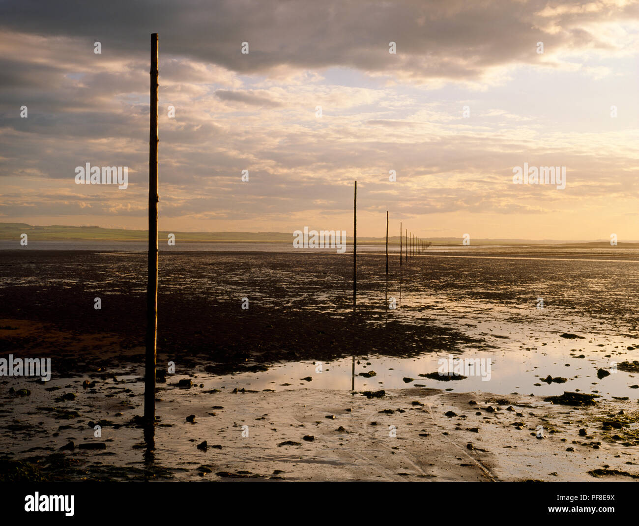 Looking west from Holy Island to the mainland showing poles marking the ...