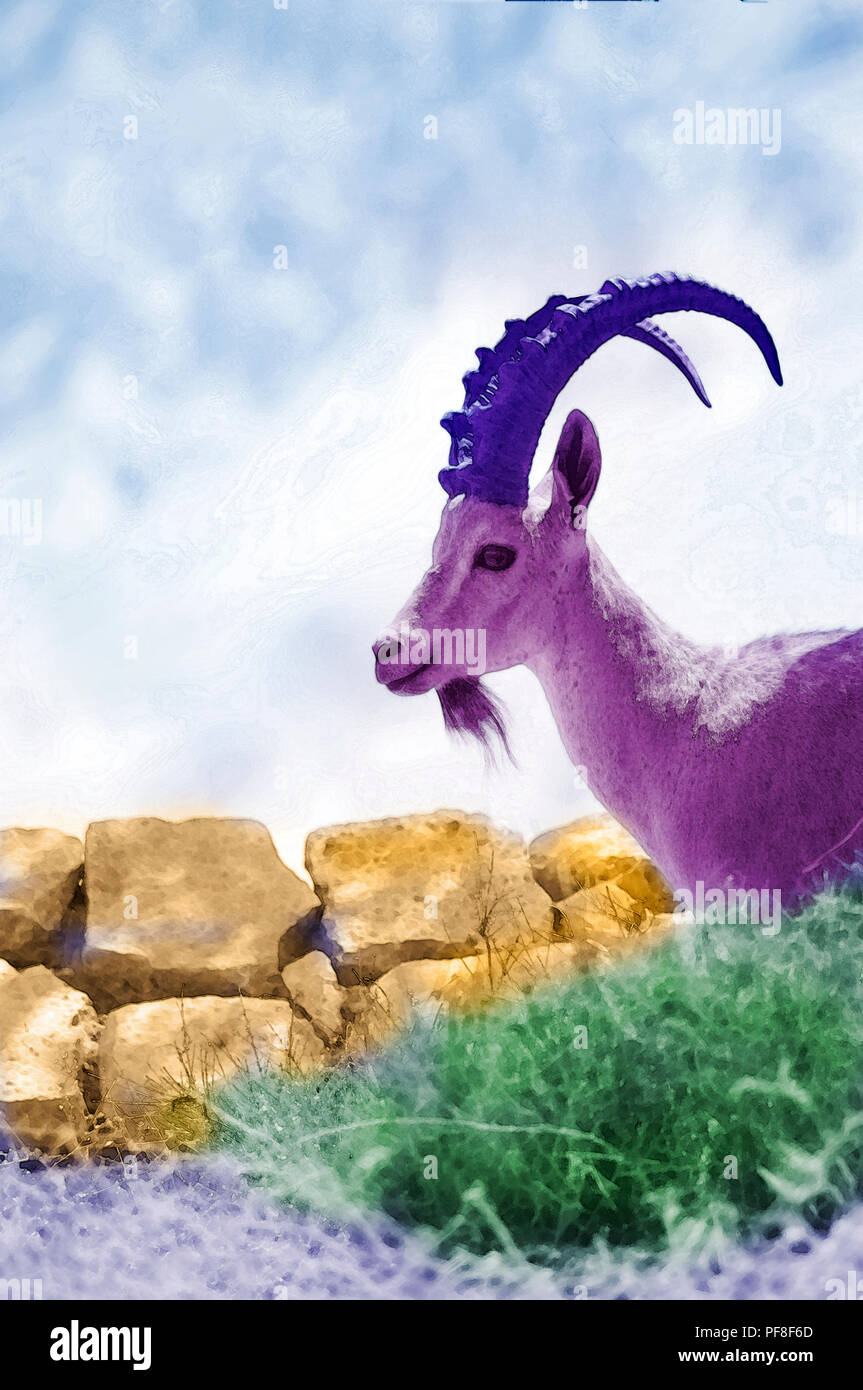 Kib hi-res stock photography and images - Alamy