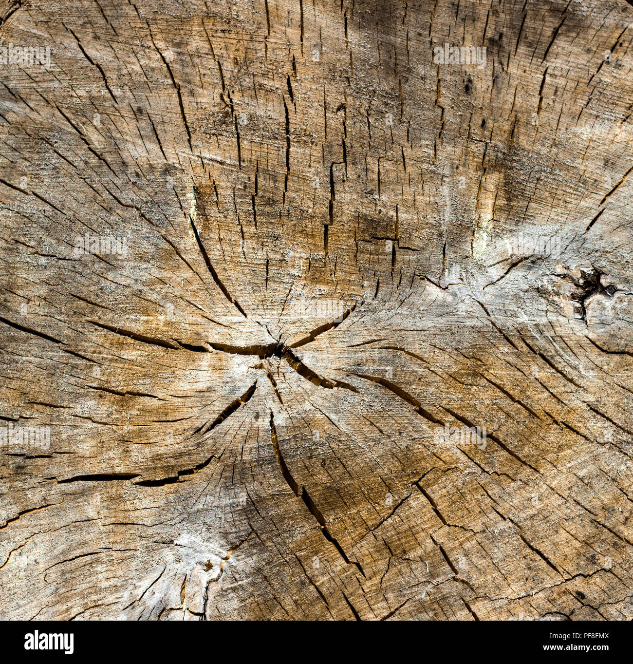 Wood Texture With Natural Pattern Stock Photo - Alamy