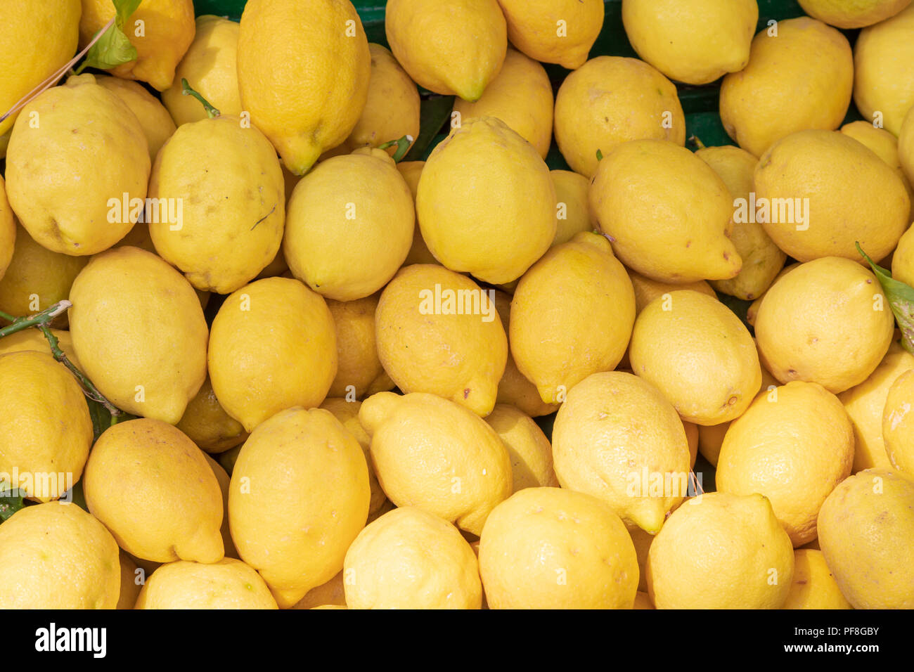 Hanging yellow lemon fruits hi-res stock photography and images - Alamy