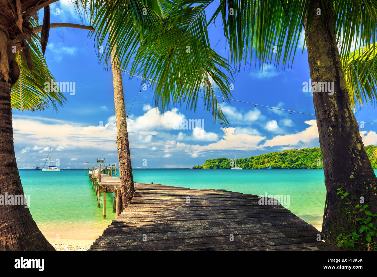 Landscape tropical beach with crystal clean sea and palm tree Stock ...