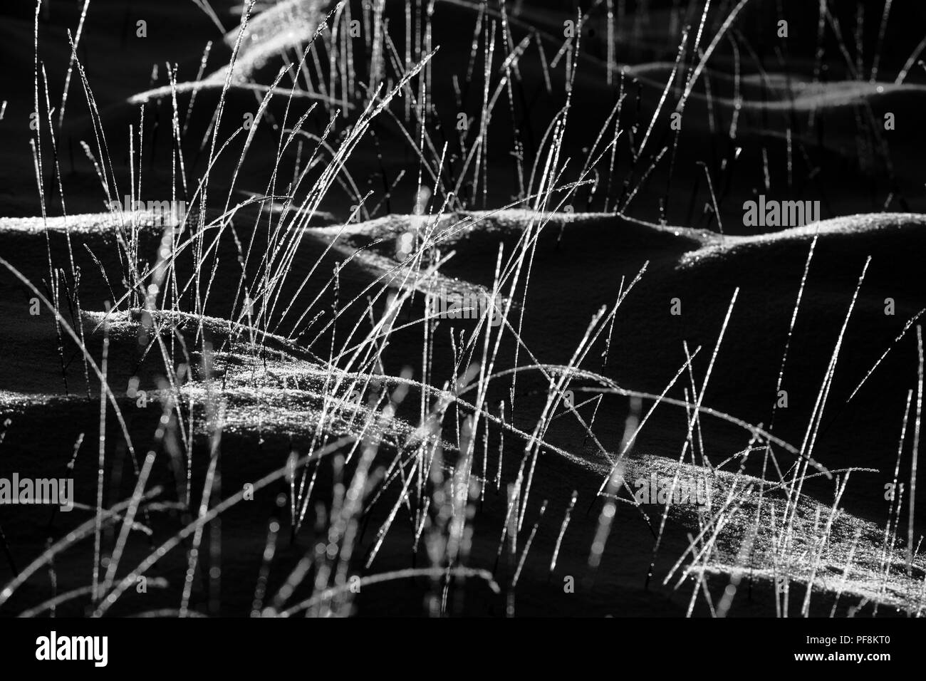 Color and snow Black and White Stock Photos & Images - Alamy