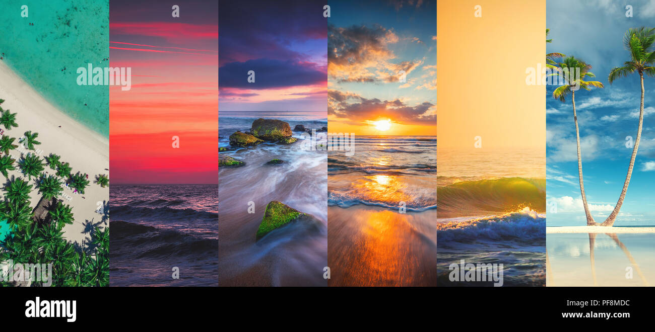Tropical beach collage hi-res stock photography and images - Alamy