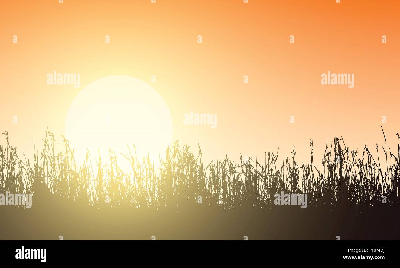 Grass backlight Stock Vector Images - Alamy