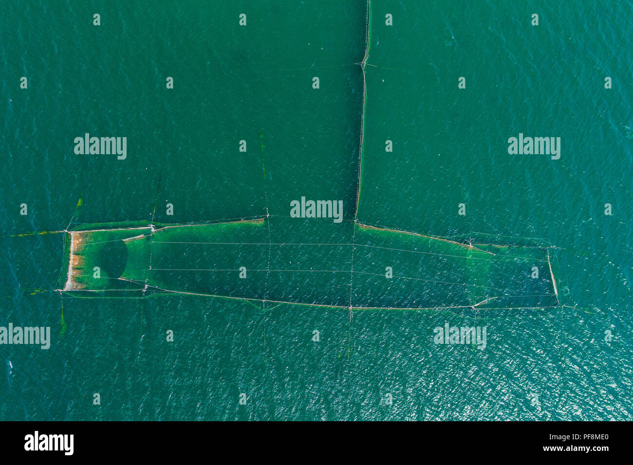 Fishing nets underwater hi-res stock photography and images - Alamy