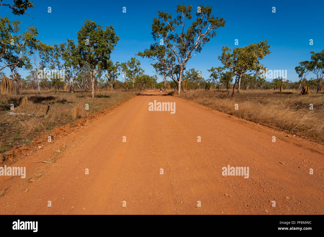 Bush road, Kakadu National Park, Northern Territories, Australia Stock ...