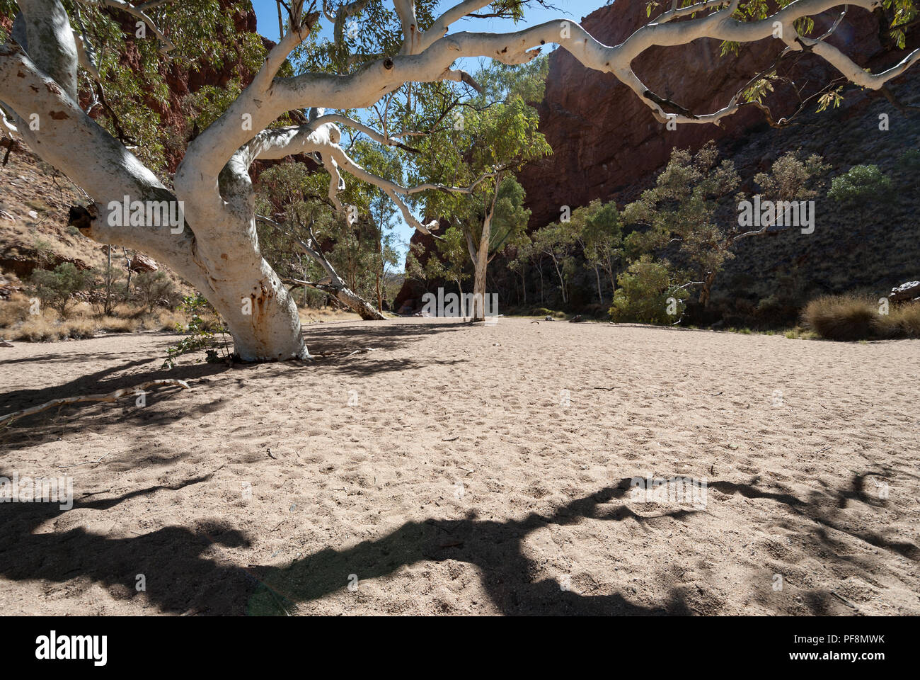 Australia and mcdonell ranges hi-res stock photography and images - Alamy