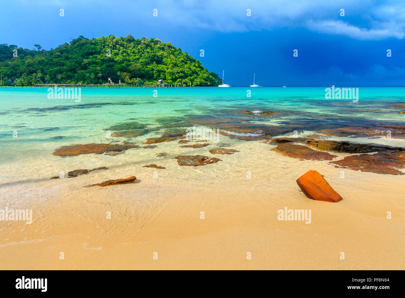Landscape tropical beach with crystal clean sea and palm tree Stock ...