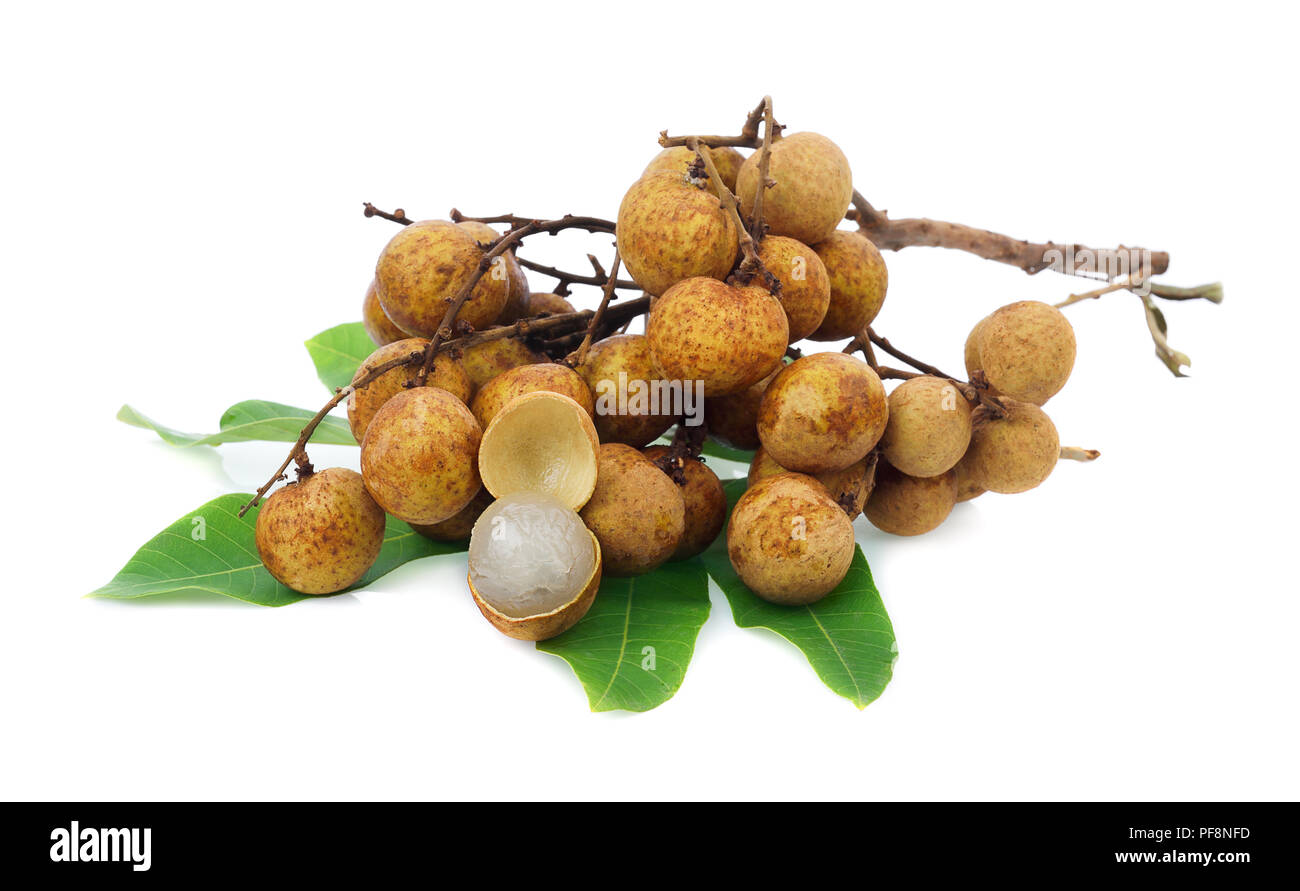 Fresh Longan Fruit, Dimocarpus longan, on white, Central of Thailand ...