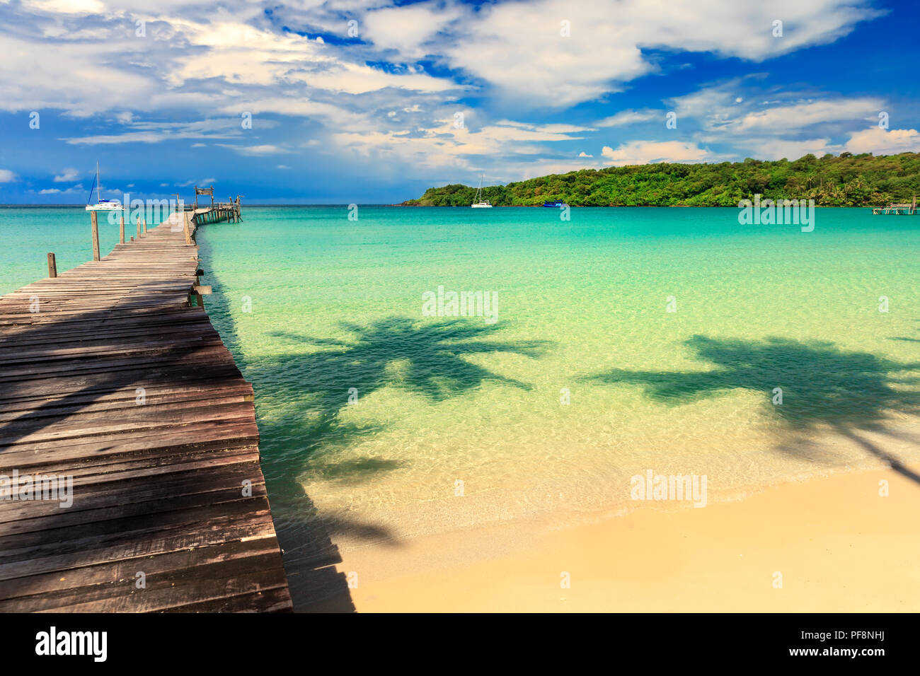 Landscape tropical beach with crystal clean sea and palm tree Stock ...