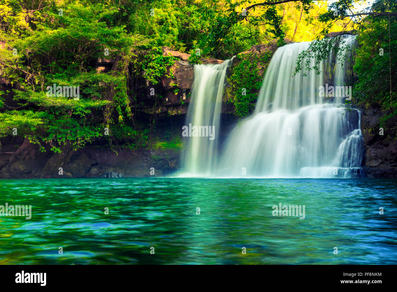 Tropical Rainforests Waterfalls