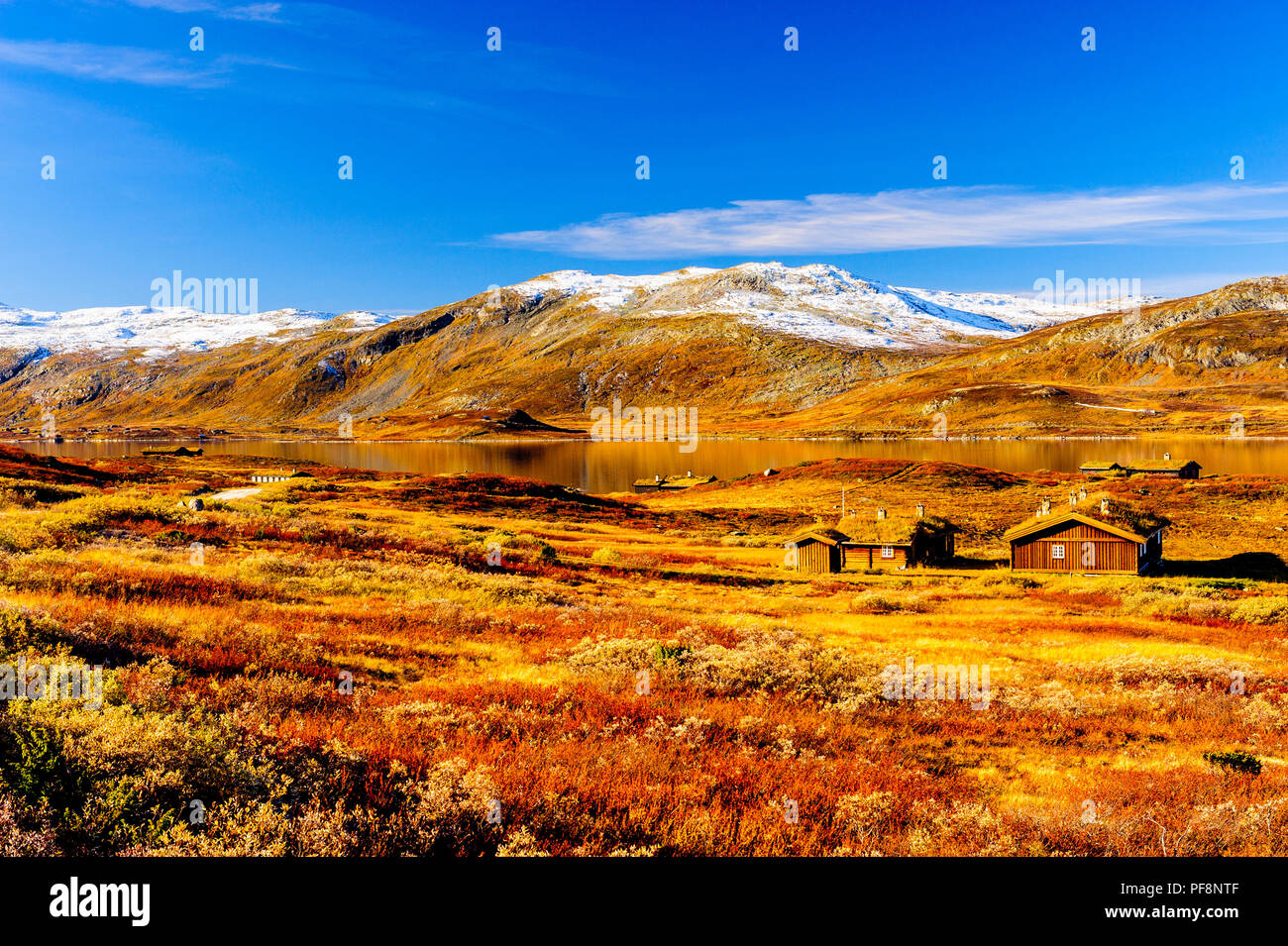 Autumn colours at Tyin in the Norwegian mountains Stock Photo - Alamy