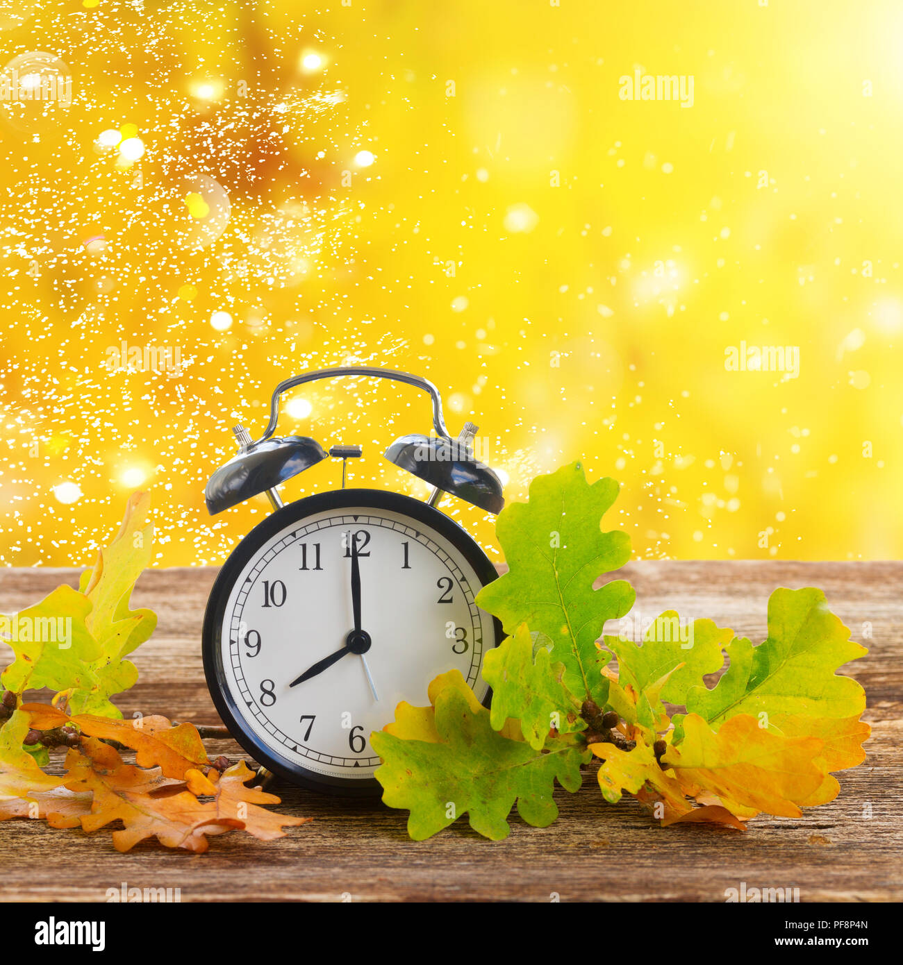 Autumn time - fall leaves with alarm clock close up over fall foliage ...