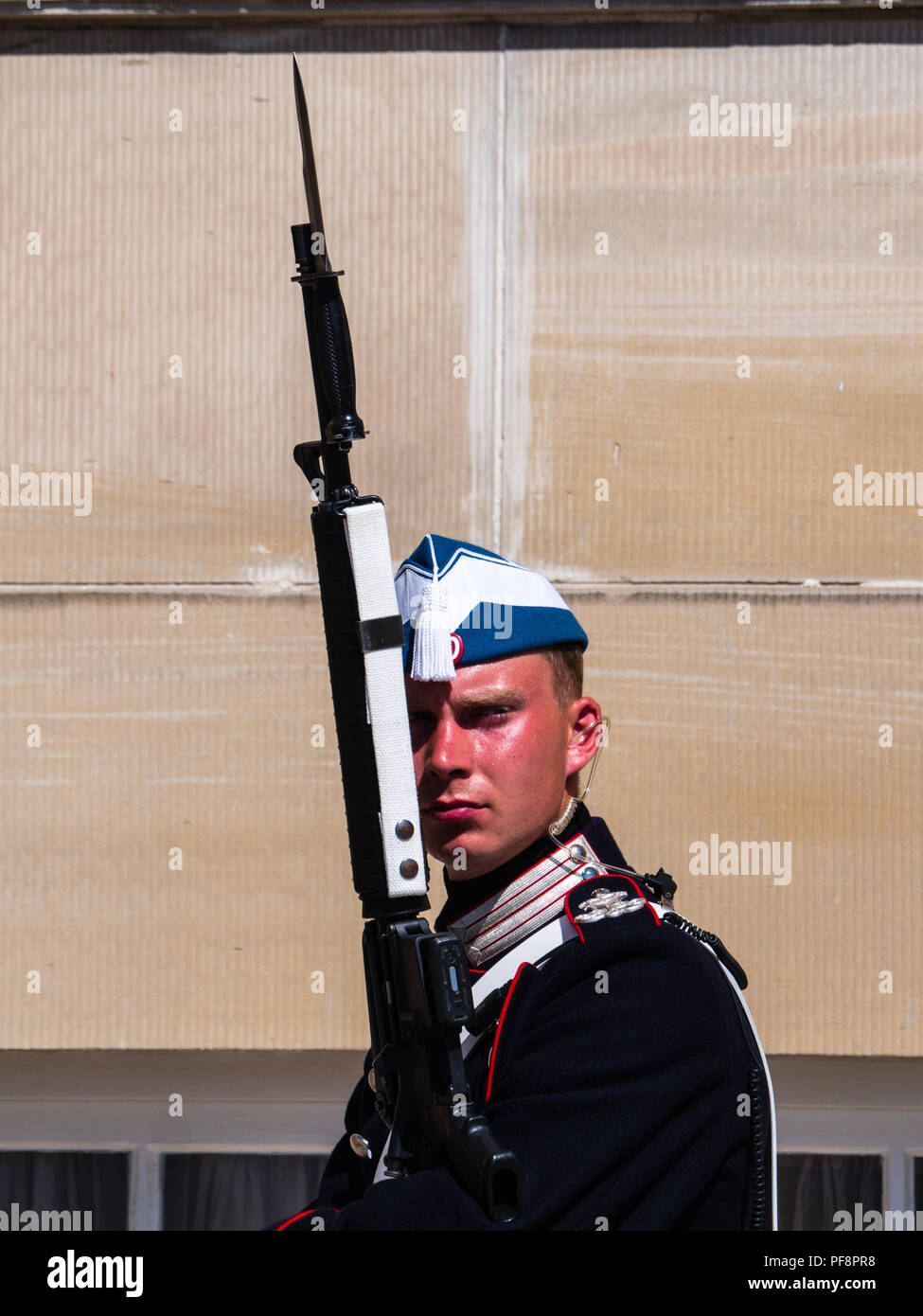 The danish royal guard hi-res stock photography and images - Alamy