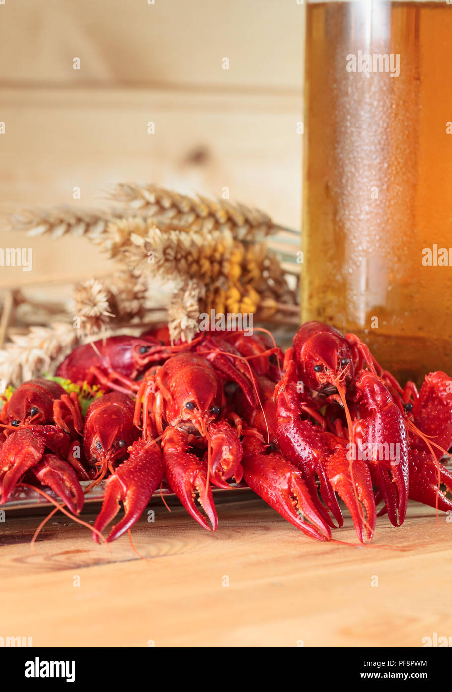 Boiled crawfish and mug with cold beer Stock Photo - Alamy