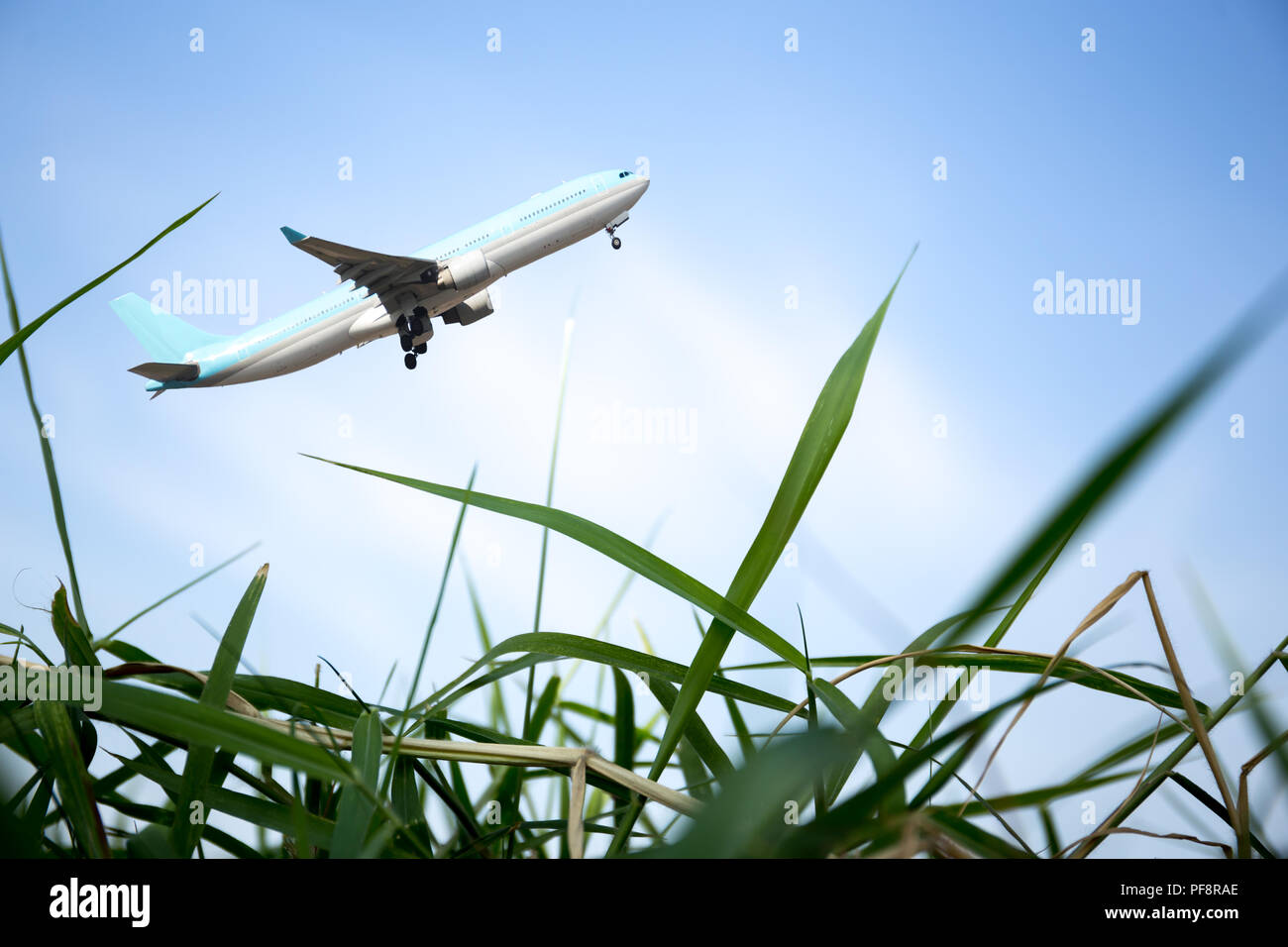 Plane flying over blue sky and green grass Stock Photo - Alamy