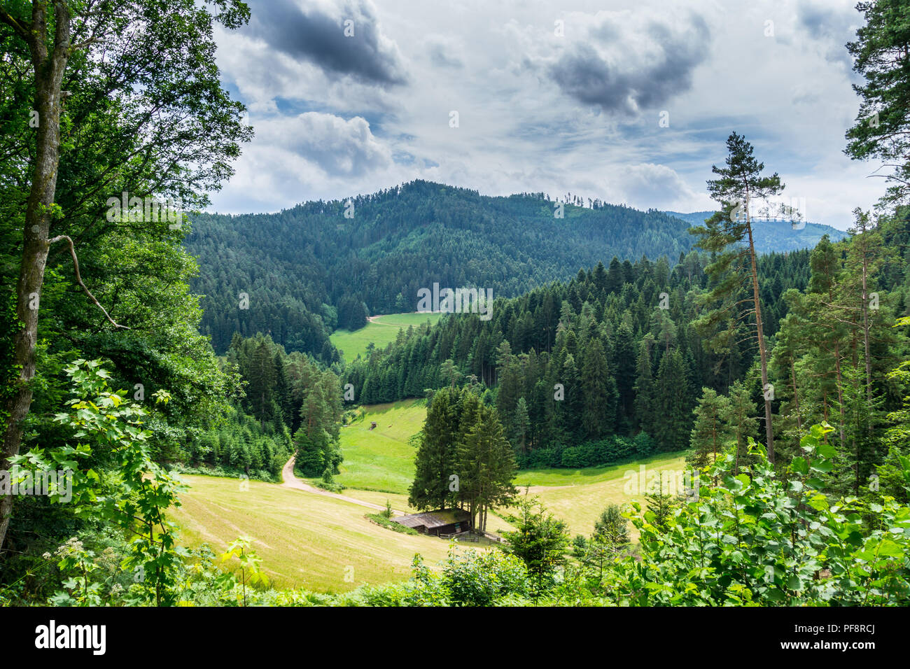 Black forest germany landscape summer hi-res stock photography and ...