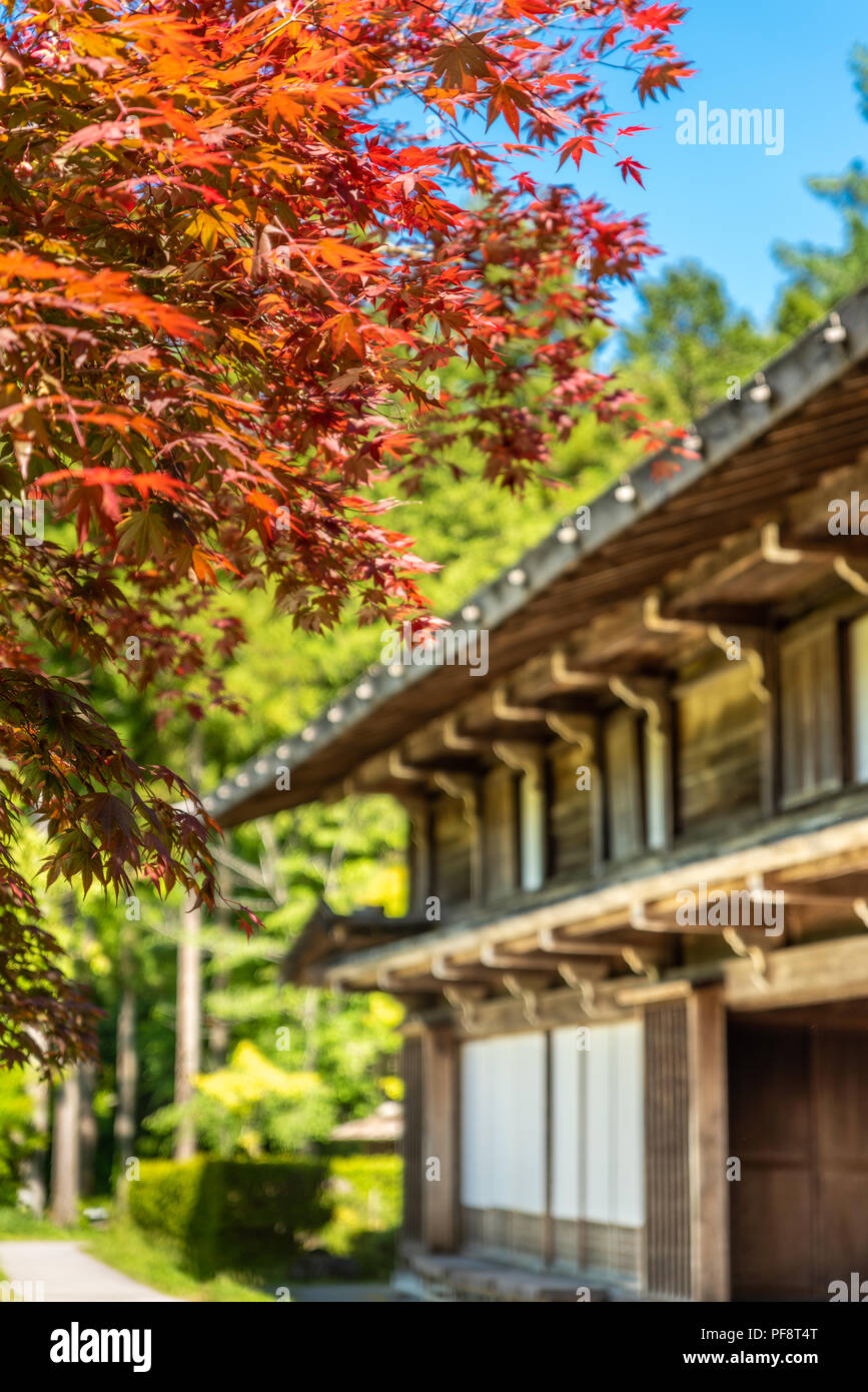 Japanese house with red maple Stock Photo - Alamy
