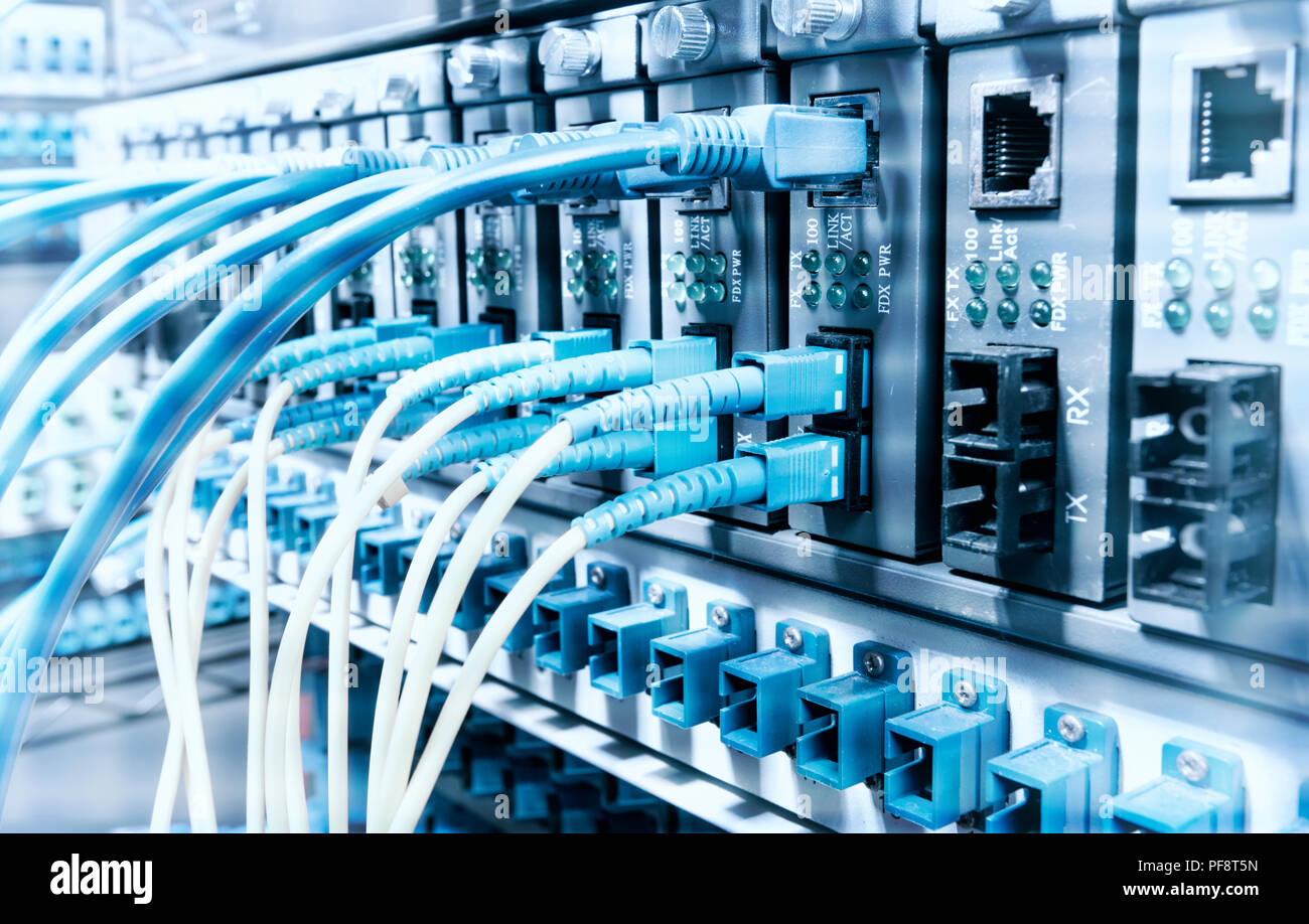 Fiber Optic cables connected to an optic ports and Network cables ...