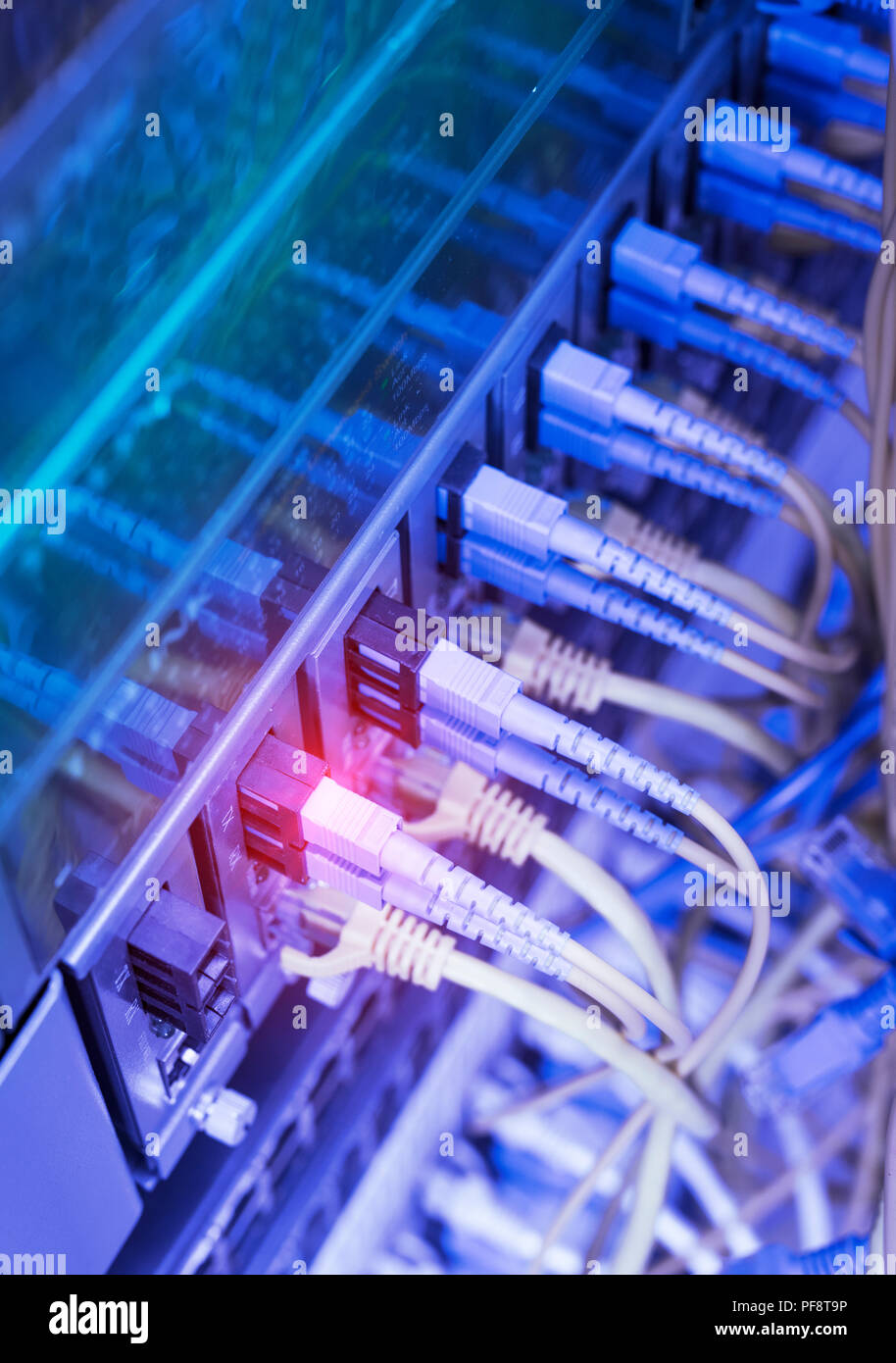 Fiber Optic cables connected to an optic ports and Network cables ...