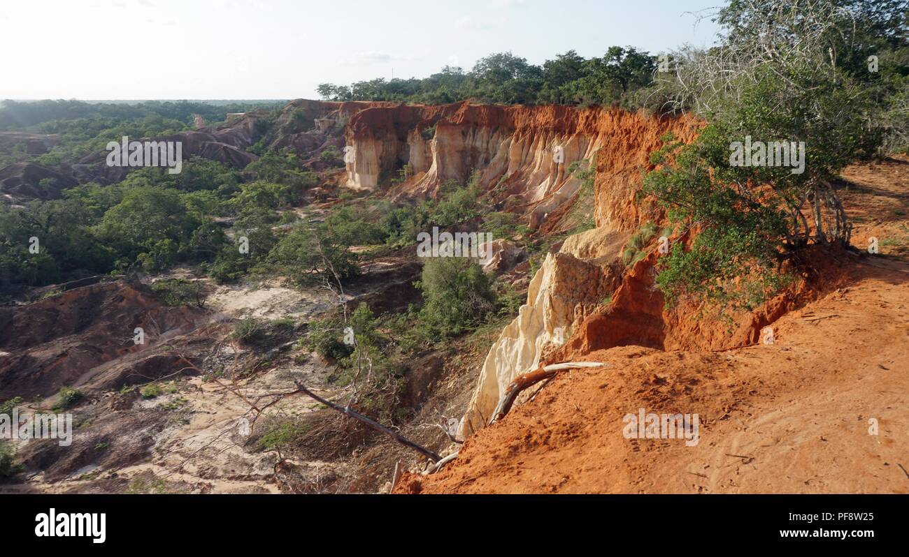 Hells Kitchen Canyon of Marafa in Keyna Stock Photo - Alamy