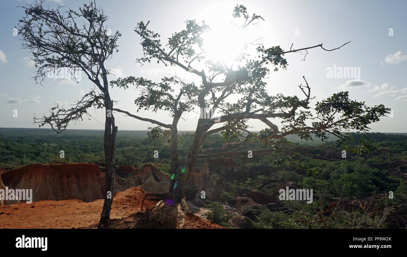 Hells Kitchen Canyon of Marafa in Keyna Stock Photo - Alamy